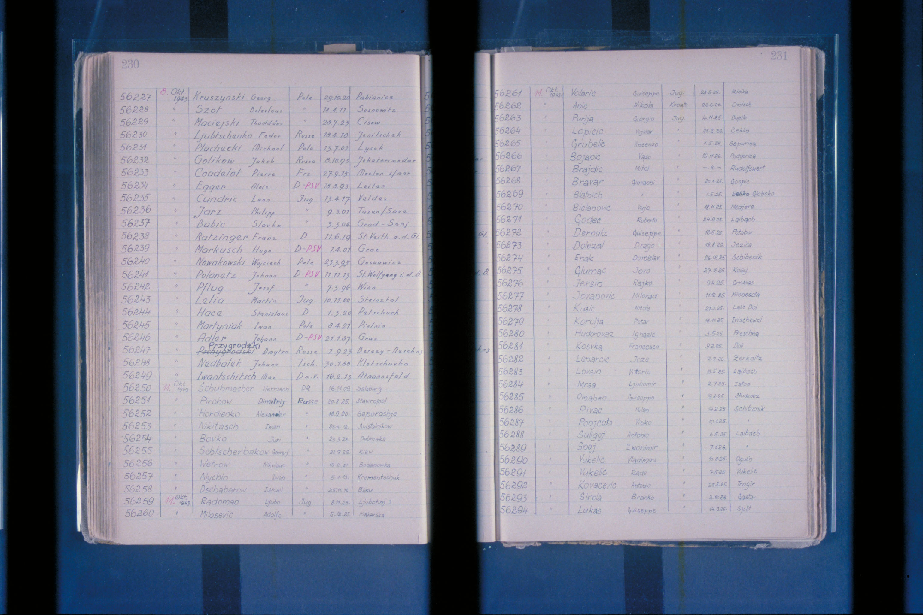 Arolsen Archives - International Center on Nazi Persecution | 805460012 ...